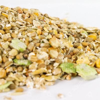 20kg SQUAWK Duck & Goose Mix - Premium Grade Wild Bird Food Tasty ...