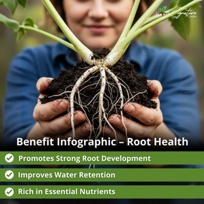 20L Ericaceous Compost by Laeto Your Signature Garden - FREE DELIVERY ...