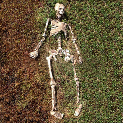 20Pcs Halloween Realistic Skull and Bone Skeleton Decoration Kit | DIY ...