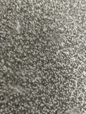 230 Corrina Grey Secondary Backing Carpet, Saxony Cut Pile Carpet ...