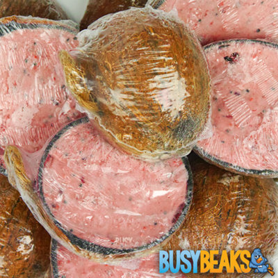 25 x BusyBeaks Berry Suet Filled Coconut Halves - Protein Rich Garden ...