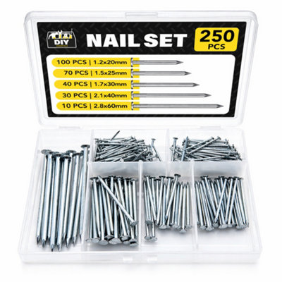 250pk Assorted Nails for Wood, Iron Nails for Hanging Pictures - Long ...