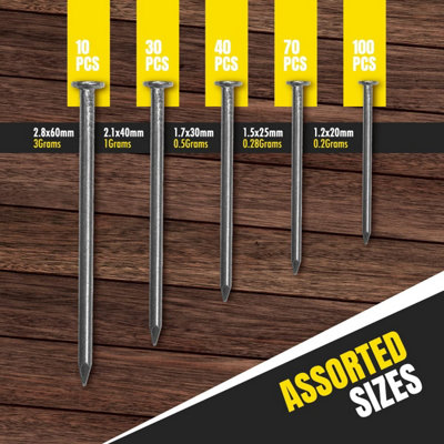 250pk Assorted Nails for Wood, Iron Nails for Hanging Pictures - Long ...