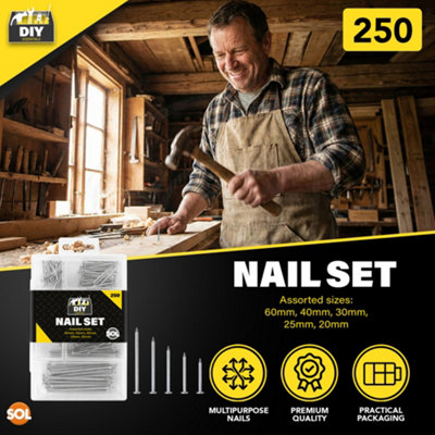 250pk Assorted Nails for Wood, Iron Nails for Hanging Pictures - Long ...