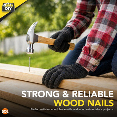 250pk Assorted Nails for Wood, Iron Nails for Hanging Pictures - Long ...