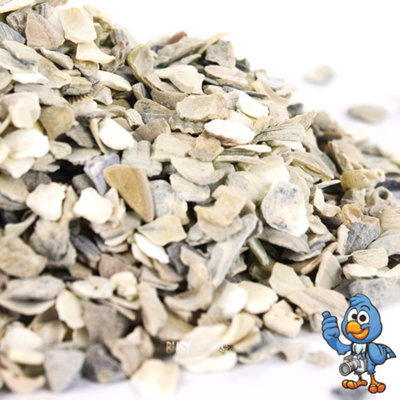 25kg BusyBeaks Hen Sized Oyster Shell - Premium Grade High In Calcium ...