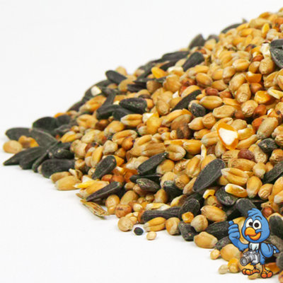 25kg BusyBeaks Year Round Mixture - Nutritious Garden Bird Seed Food ...