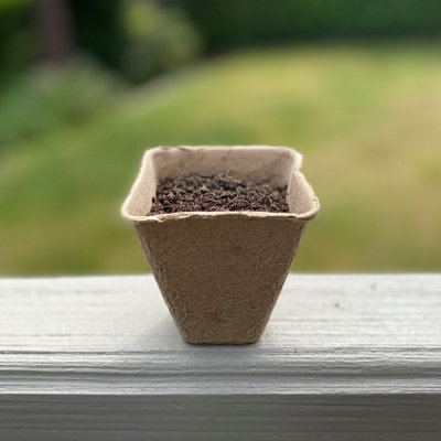 288 x 8cm Eco Square Fibre Biodegradable and Compostable Plant Pots