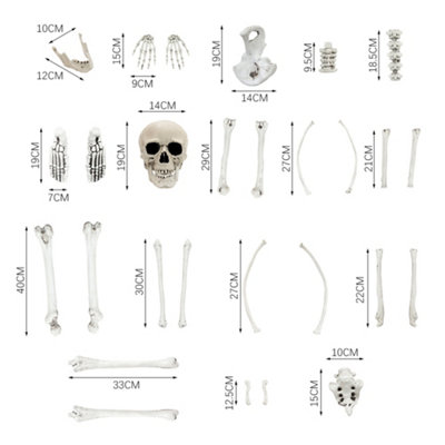 28Pcs Halloween Realistic Skull and Bone Skeleton Decoration Kit