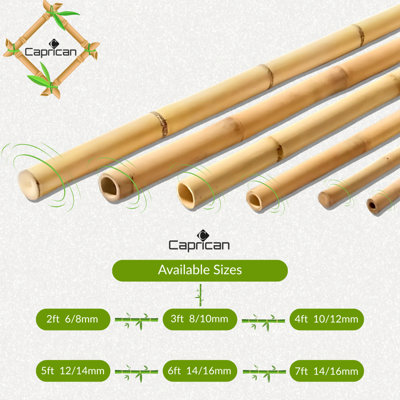 2ft Bamboo Canes 10 Pack Garden Plant Support Sticks Natural Growing ...