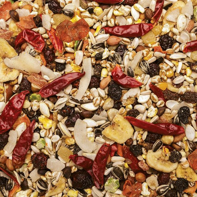 2kg Large Parrot Low Sunflower Blend - Bird Feed with Low Sunflower ...