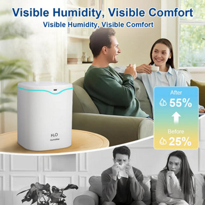 2L Cool Mist Air Humidifier , Adjustable Home Diffuser with LED Light