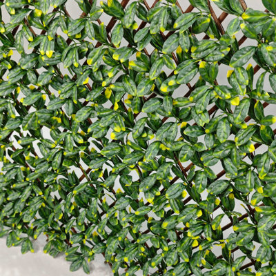 2m x 1m Artificial Expandable Faux Laurel Leaf Screening Privacy Fence ...