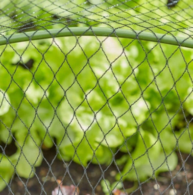 2m x 4m Fine Mesh Netting for Plants, Garden & Bird Protection