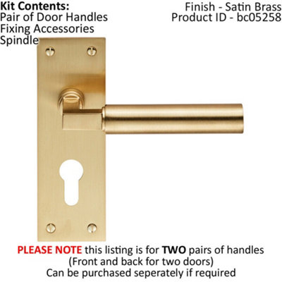 2x PAIR Round Bar Handle on Slim Euro Lock Backplate 150 x 50mm Satin Brass