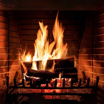 2x12 GardenCo High Energy Heat Compressed Logs - Pack of 24 Dry Wood ...