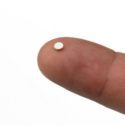 3.17mm dia x 0.79mm thick N42 Neodymium Magnet - 0.14kg Pull - Licensed ...