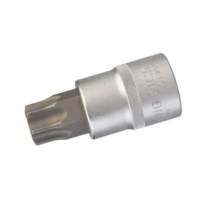 3/4" SD Inserted Trx Bit Socket - T100