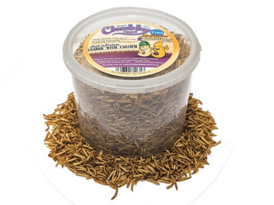 3 Litre Chubby Dried Mixes Mealworms & Black Soldier Fly Larvae