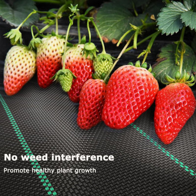 3 x 10M Premium Garden Weed Barrier Fabric Landscape Fabric, Durable ...
