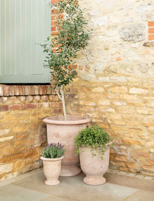 3 x Garden Trading Ubley Planters Terracotta Garden Tall Flower Pots