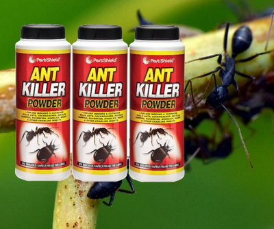 3 x PestShield Ant Killer Powder 150g | DIY at B&Q