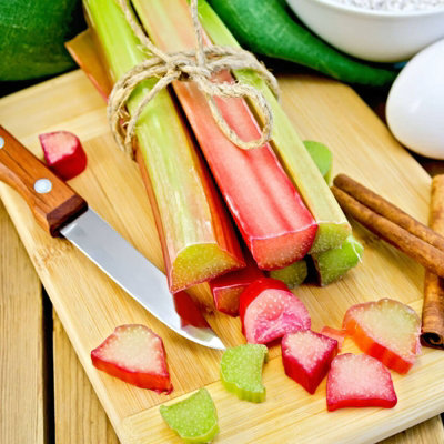 3 x Rhubarb Crown 'Prince Albert' - with FREE Growing Complement