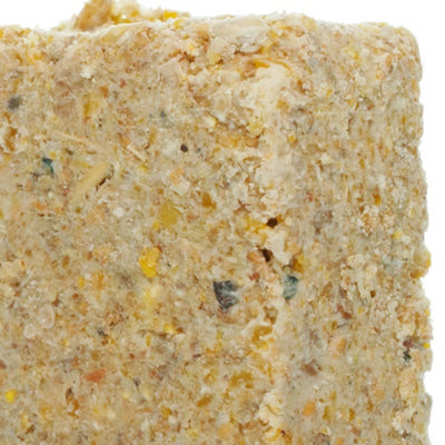3 x SQUAWK Sunflower Heart Suet Fat Blocks - High Energy Wild Bird Food ...