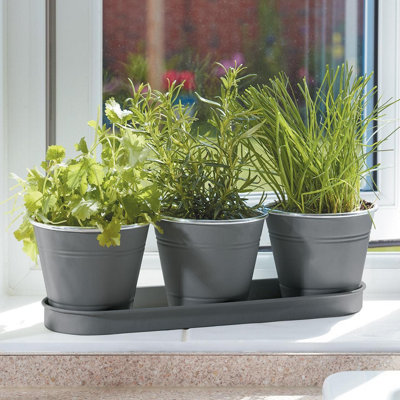 Plant drainage tray store