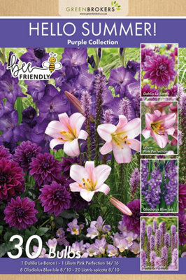 30 Hello Summer Purple Summer Bulb Collection Purple Bulb Varieties Eco Packaging Plant Now ...