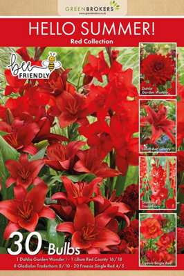 30 Hello Summer Red Summer Bulb Collection Red Bulb Varieties Eco ...