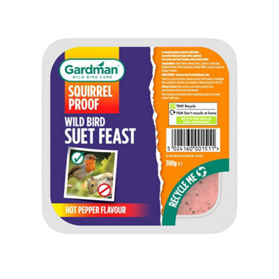 300g Suet Feasts Squirrel Proof Wild Bird, Bird Feed/Food, High Energy ...