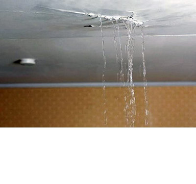 300ml Spray & Seal Mastic Sealant Instant Leak Fix Stop for Roof Window ...