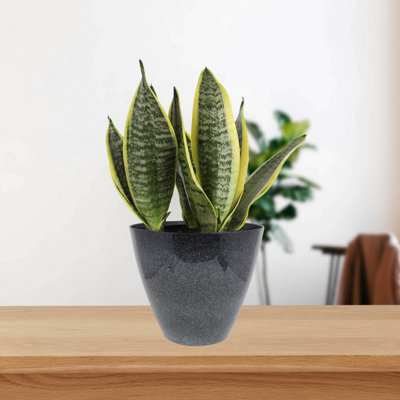 30cm Pot Savannah Planter Windswept Fusion Round Plastic Plant Flower ...
