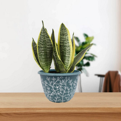 30cm Pot Serenity Stout Planter Green Round With White Wash Plant ...