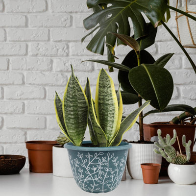 30cm Pot Serenity Stout Planter Green Round With White Wash Plant ...