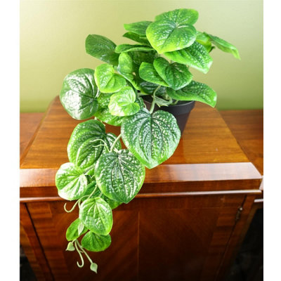 35cm Artificial Trailing Natural Look Potted Pothos Plant Realistic