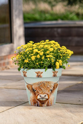 38cm Indoor Outdoor Zest Pot Highland Cow
