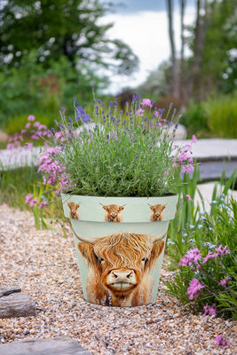 38cm Indoor Outdoor Zest Pot Highland Cow