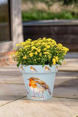 38cm Indoor Outdoor Zest Pot Robin