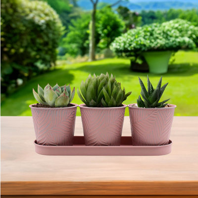 3pc Pastel Pink 0.6L Metal Planter Garden Herbs Plant Pot Embossed Leaf ...
