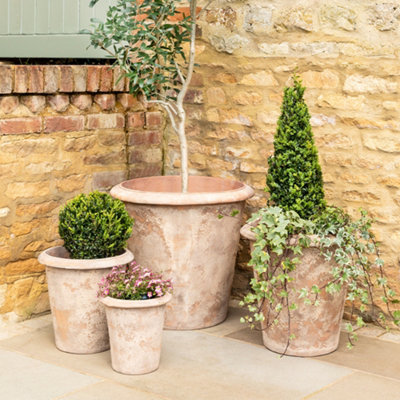 4 x Garden Trading Orchard Planters Plant Flower Tree Pots Terracotta ...