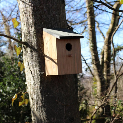 4 x Wooden Bird Nesting Box Small Nest Traditional Wood House Robin ...