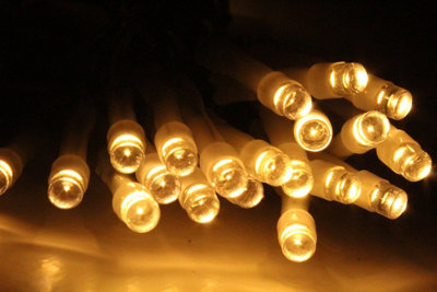 40 LED Indoor Battery String Lights 4M Length Party Fairy Christmas ...