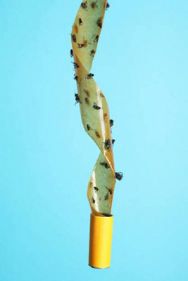 40 Sticky Fly Insect Catcher Papers Glue Bug Trap Strip