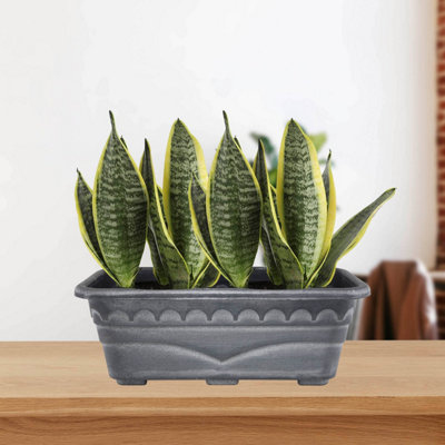 40cm Pot Rectangle Window Box Black With White Wash Plant Flower Garden ...