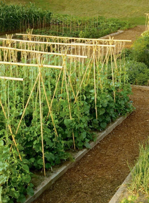 4ft Bamboo Canes 50 Pack Garden Plant Support Sticks Natural Growing ...