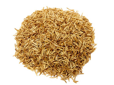 4Kg Dried Chubby Mixes Mealworms & Black Soldier Fly Larvae