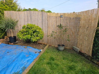 4m x 1.2m Natural Bamboo Screening Roll Panel Fence Peeled Reed Fencing ...