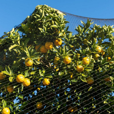 4m x 10m Garden Netting Heavy Duty Fine Strong Mesh Garden Pond Net ...